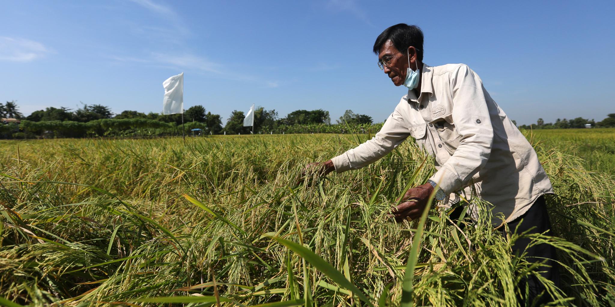 Giving High Impact Startups A Push In Cambodia Development Asia